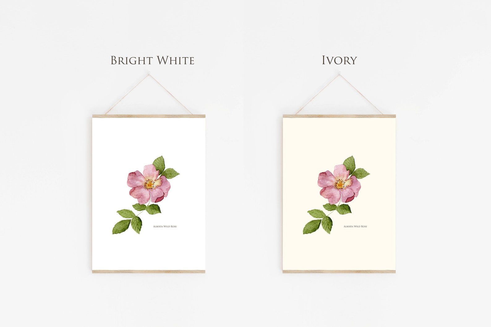 Alberta Wild Rose Wildflower Painting Wild Rose Art - Etsy