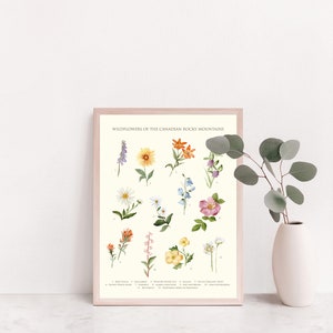Wildflower Poster Wildflower painting wildflower chart | Etsy