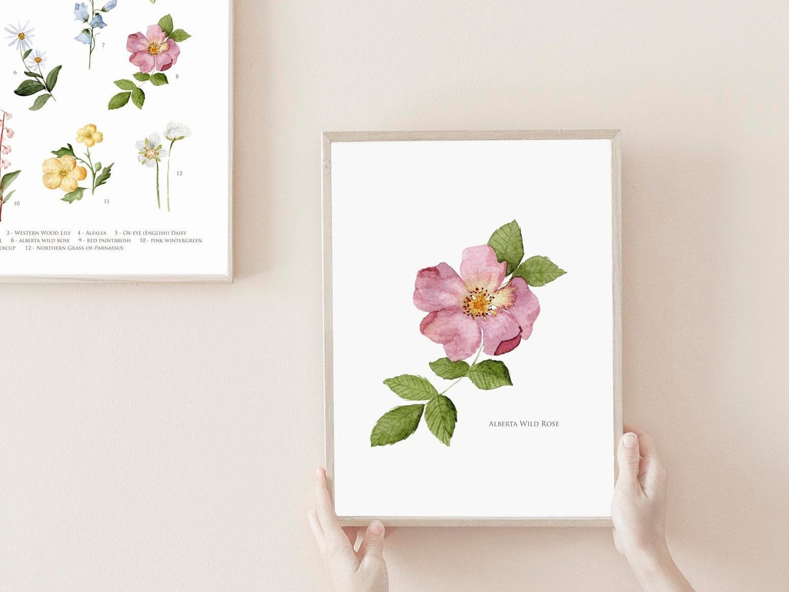 Alberta Wild Rose Wildflower Painting Wild Rose Art - Etsy