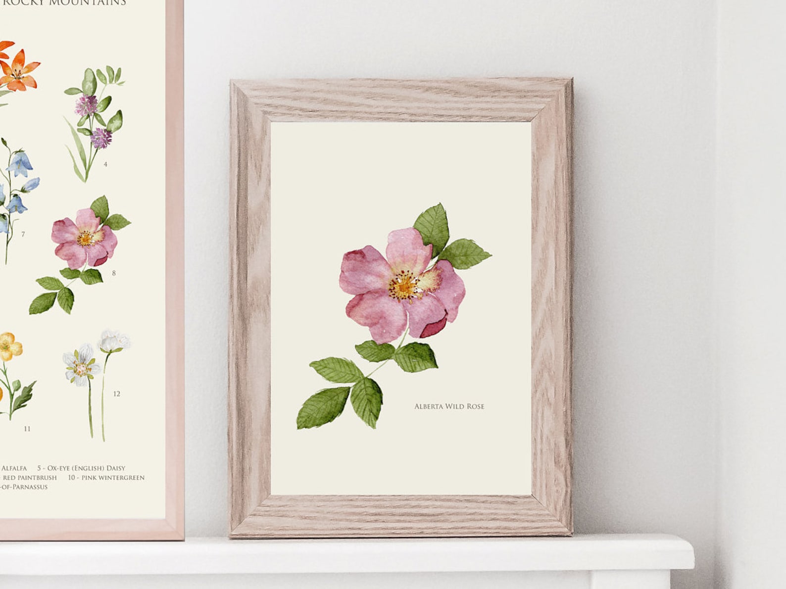 Alberta Wild Rose Wildflower Painting Wild Rose Art - Etsy
