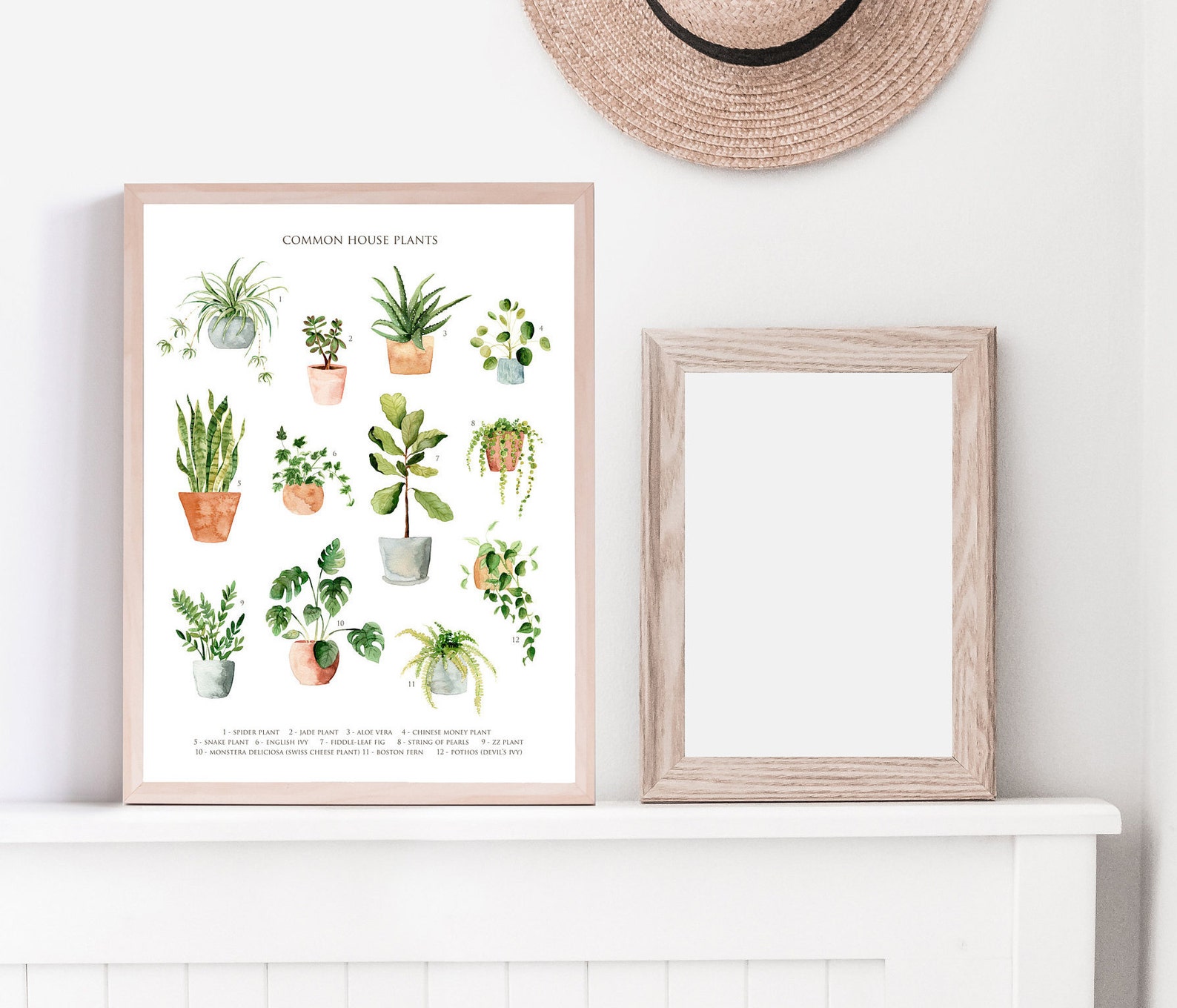 House Plant Poster House Plant Art Plant Poster Plant - Etsy Canada