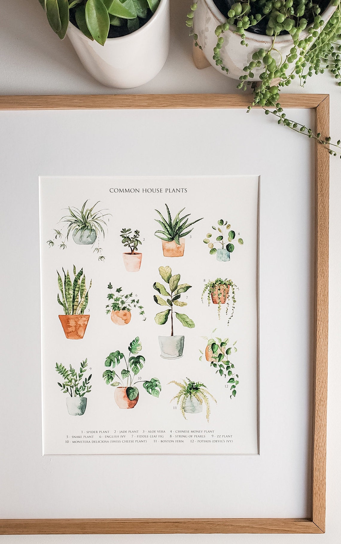 House Plant Poster House Plant Art Plant Poster Plant | Etsy