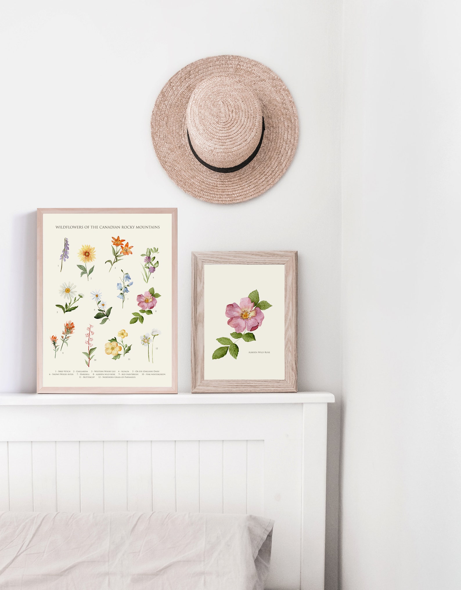 Alberta Wild Rose Wildflower Painting Wild Rose Art - Etsy