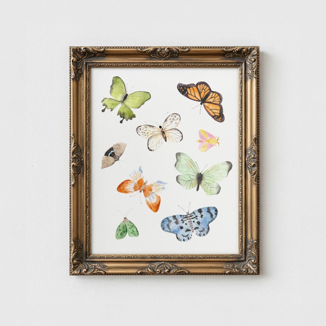 Colorful Butterfly Poster: Butterfly Wall Decor, Wall Decor, Watercolor ...