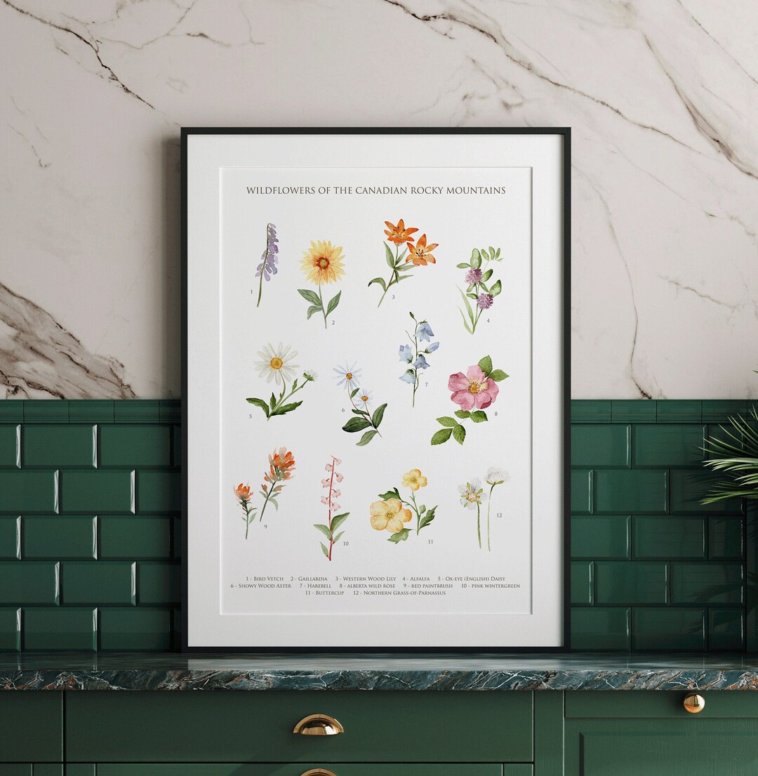 Wildflower Poster, Wildflower Painting, Wildflower Chart, Wildflower ...
