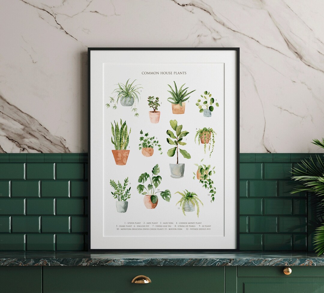 House Plant Poster, House Plant Art, Plant Poster, Plant Painting ...