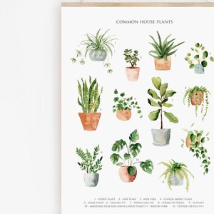 House Plant Poster, House Plant Art, Plant Poster, Plant Painting ...