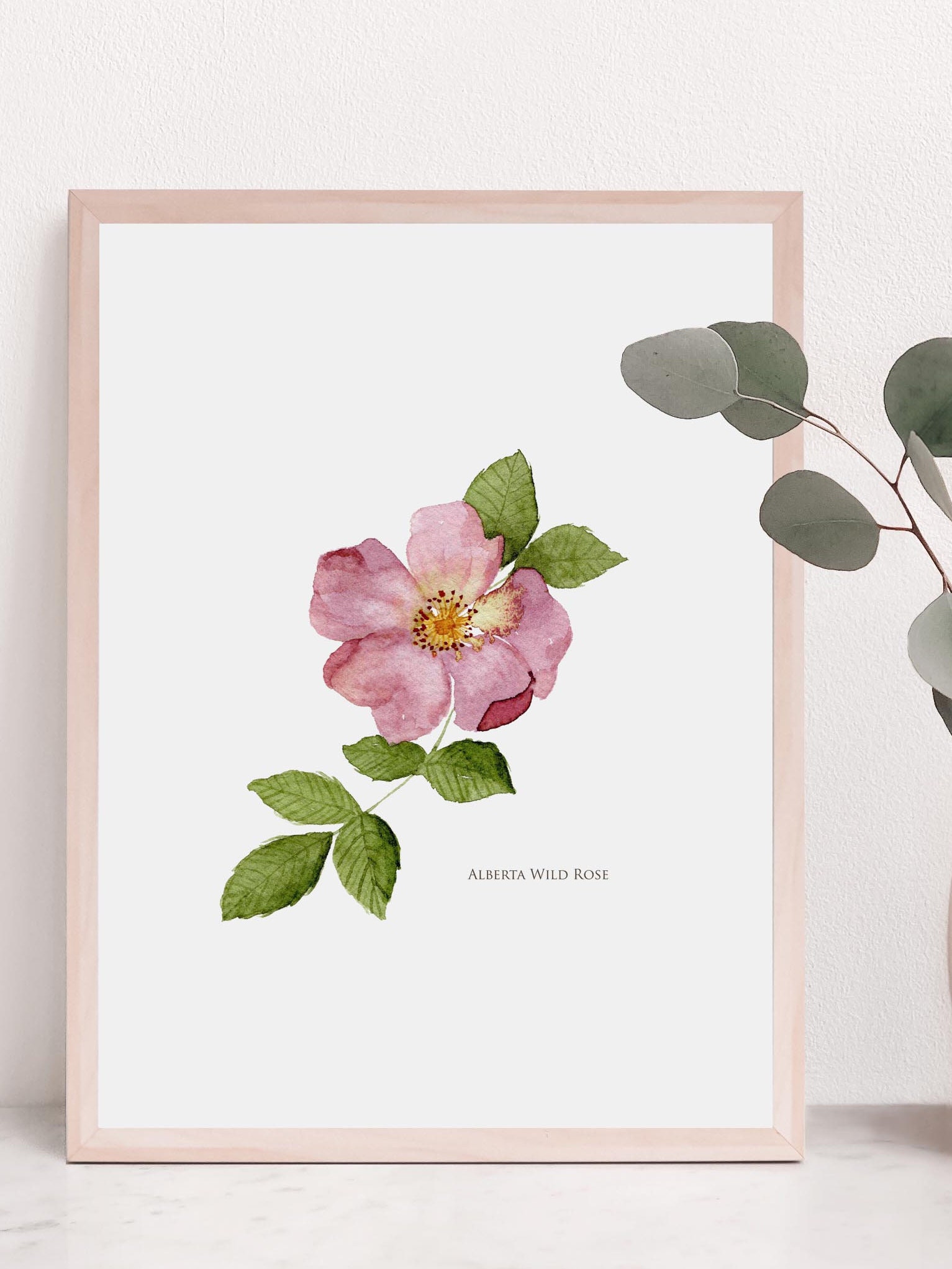 Alberta Wild Rose Craft