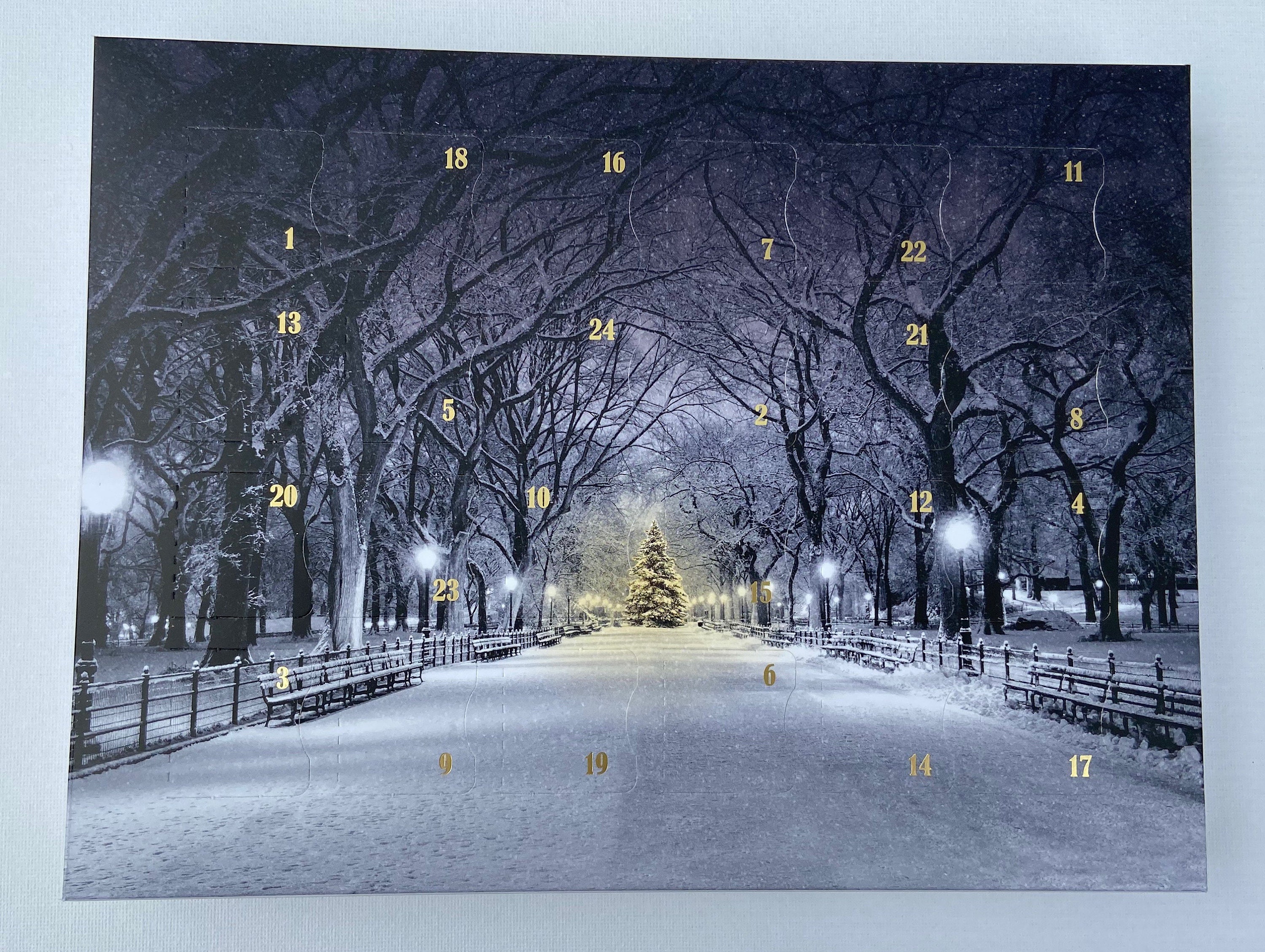 Fossil 24 Door Advent Calendar. Snow in the Park Design Box ...