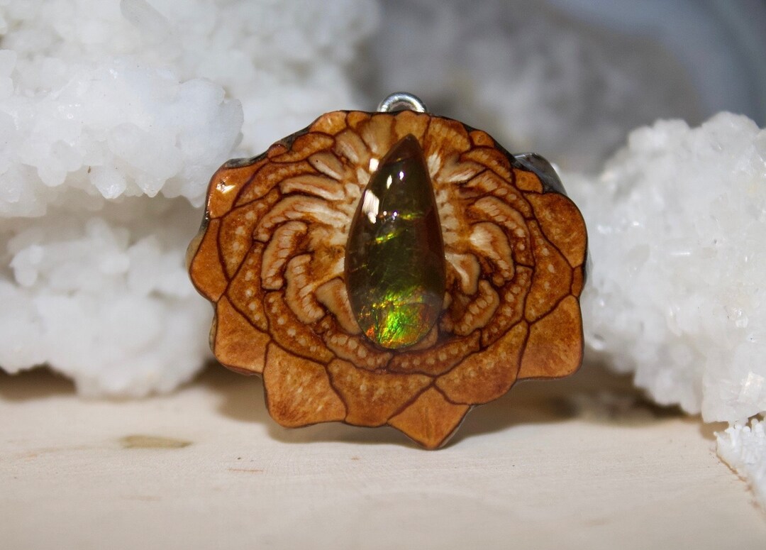 Canadian Ammonite Colorado Pine Cone Pendant Necklace Size Small 1.25 ...