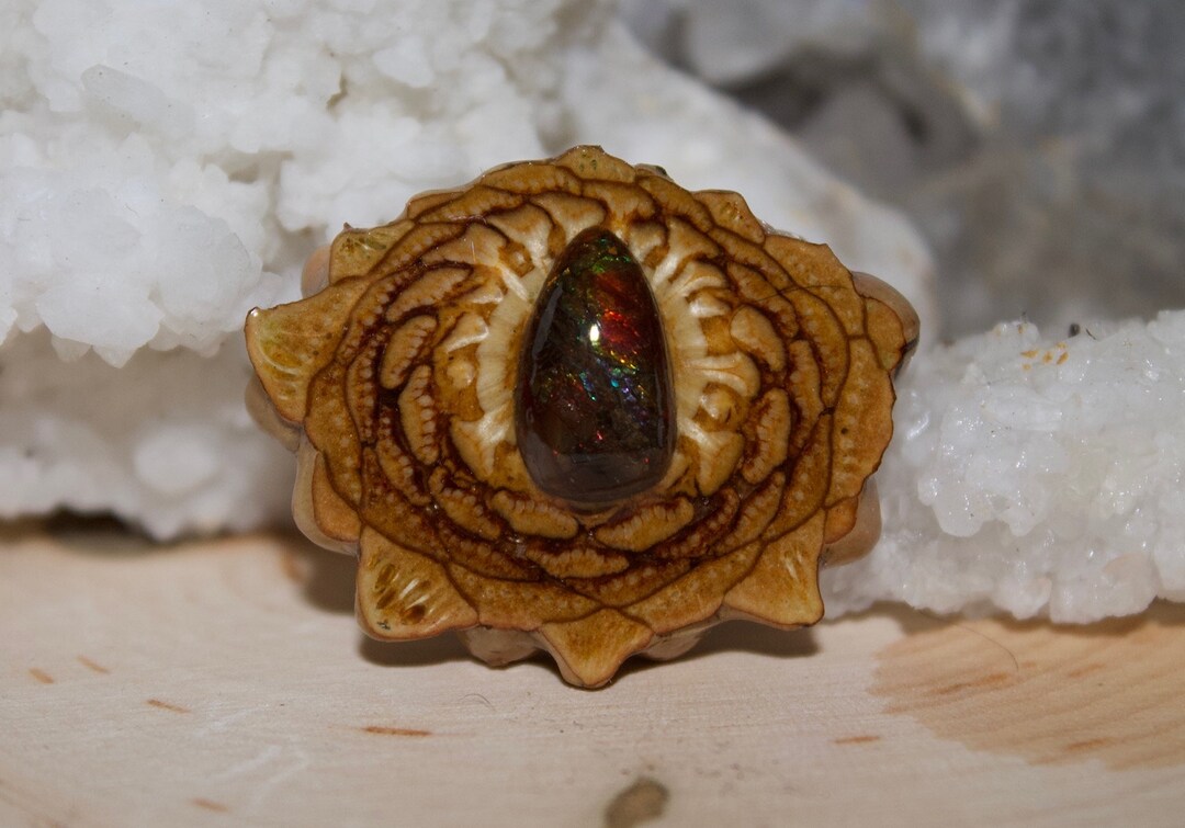 Canadian Ammonite Colorado Pine Cone Pendant Necklace Size Small 1-1.25 ...