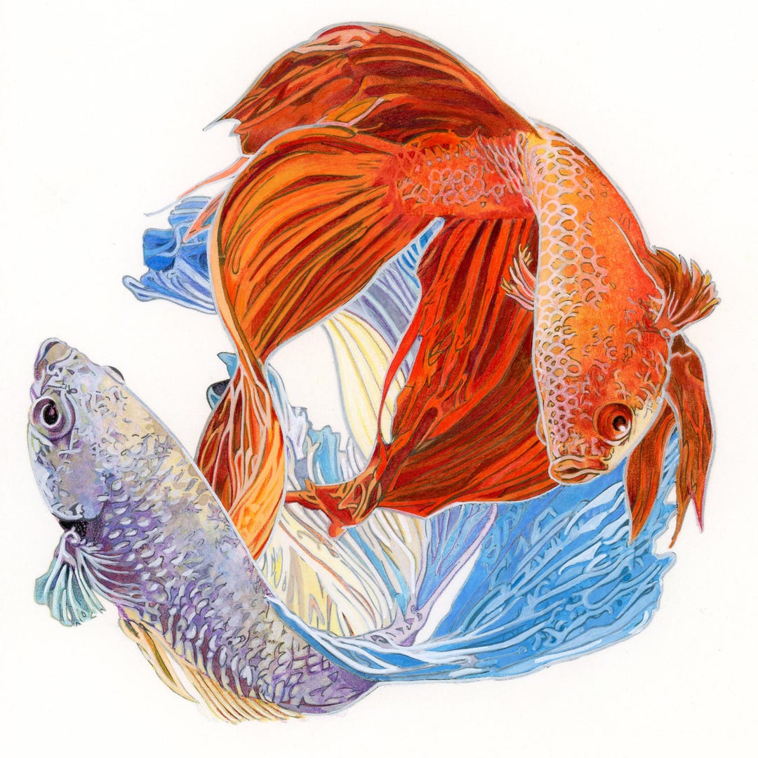 High Quality Art Print, Ideal for a Unique and Original Wall Decoration ...