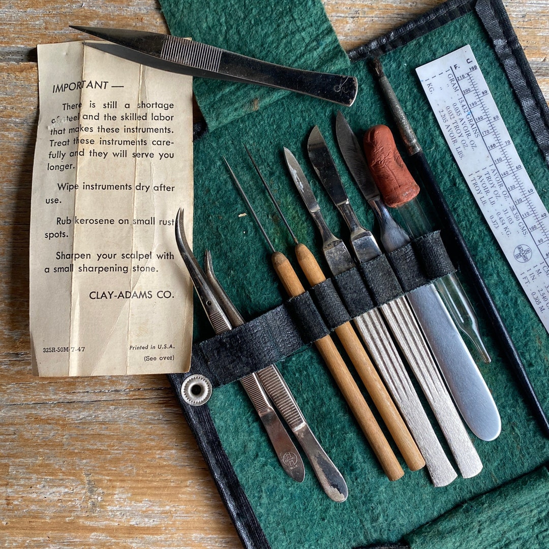 Dissection Kit - Etsy