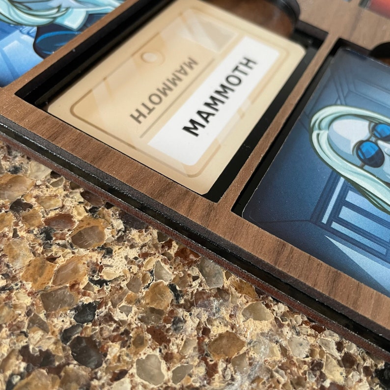 Code Names Card Organizer Three Layer Card Holder Family - Etsy