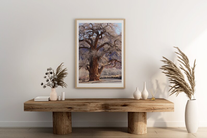 Majestic Tree Photography Print | Nature-inspired Wall Art (digital ...