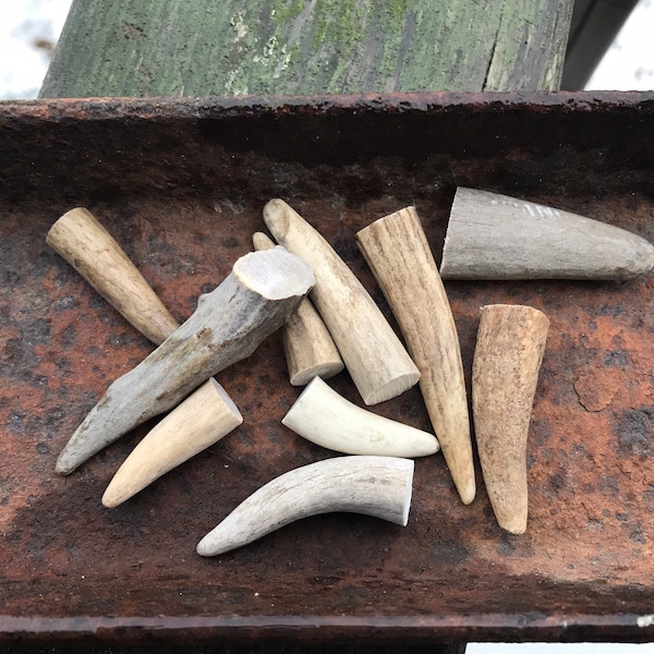 Deer Antler Tips - Etsy