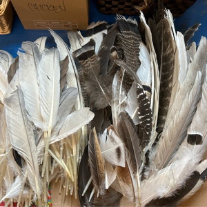 Huge Turkey and Duck and Feathers Craft Lot - Etsy