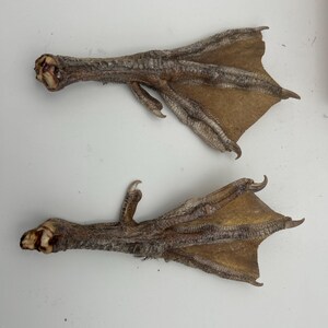 Dried Duck Feet Pair - Etsy