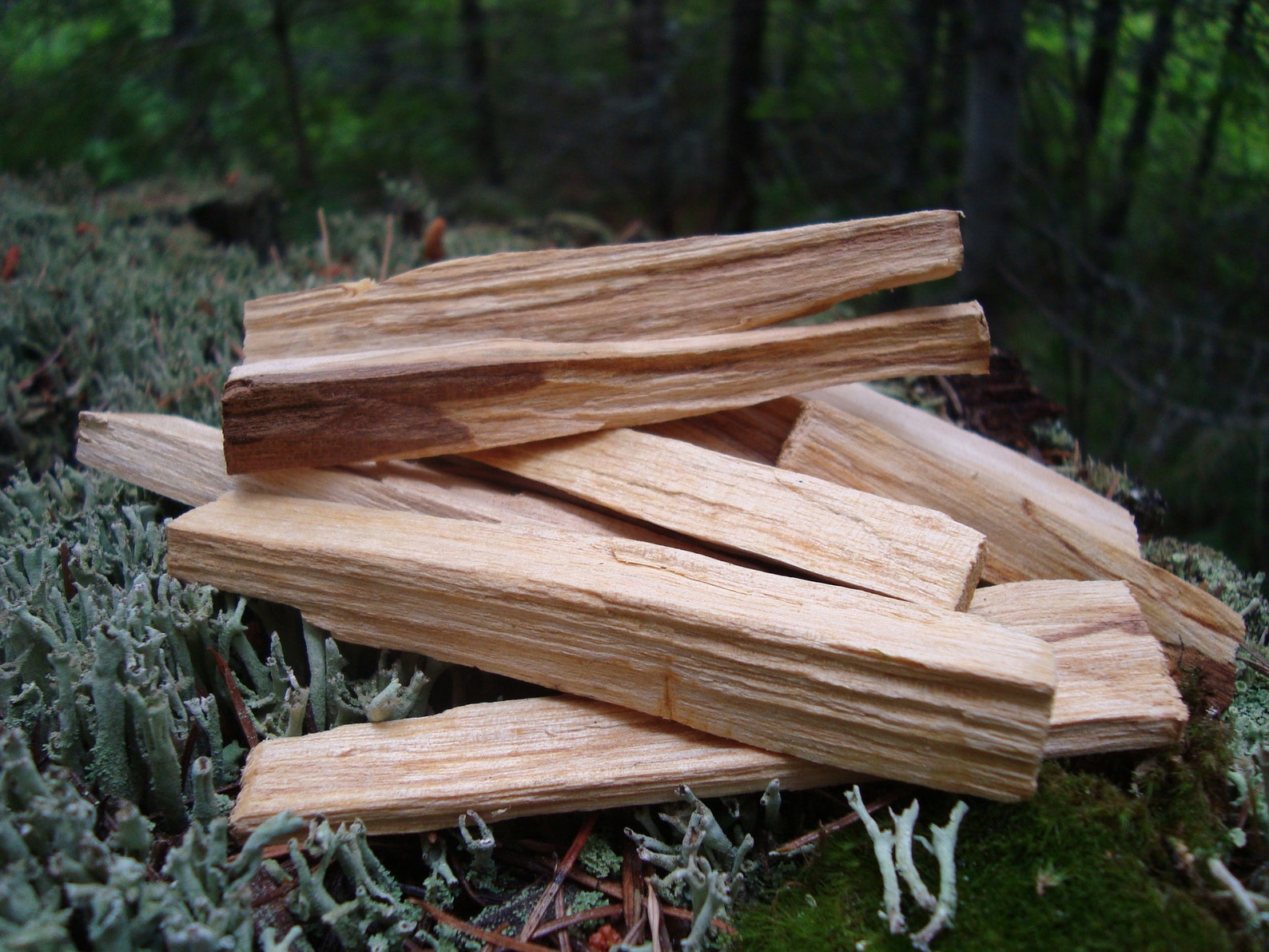 Palo Santo Holy Wood | Etsy