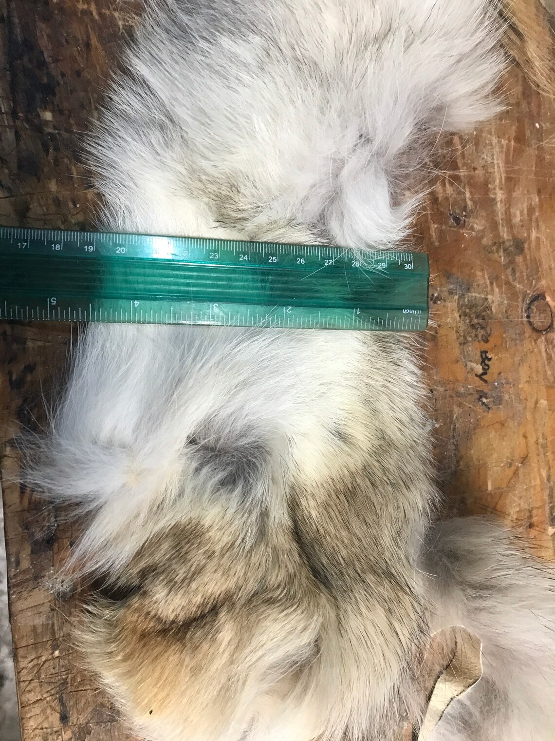 Coyote Craft Fur 12 Oz. - Etsy