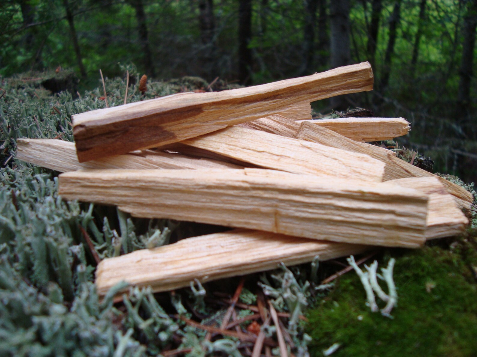 Palo Santo Holy Wood - Etsy