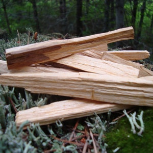 Palo Santo- Holy Wood - Etsy
