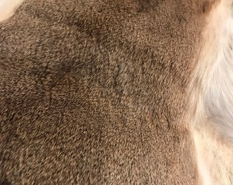 Deer Pelt - Etsy