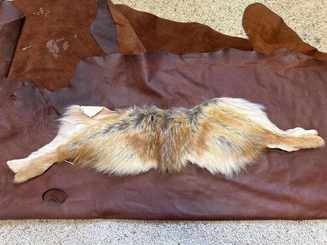 Coyote Craft Fur Piece - Etsy