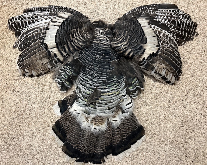 Heritage Turkey Feather Pelt - Etsy