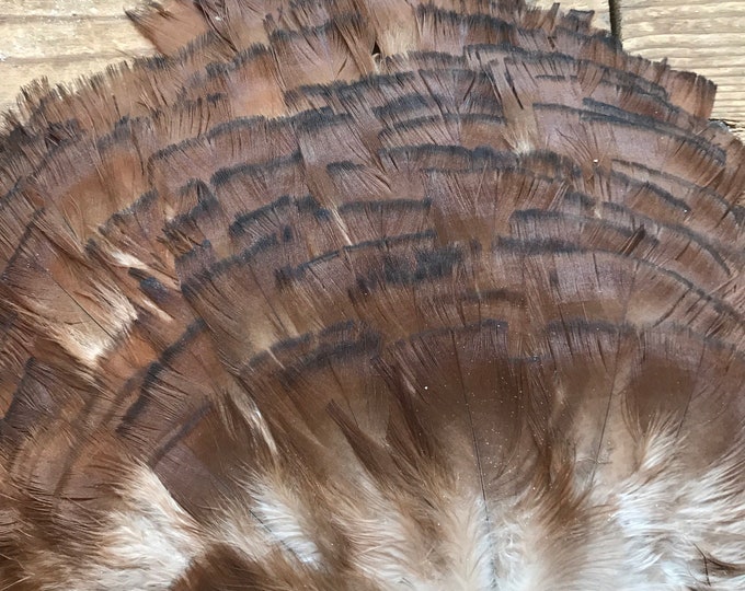 2 Turkey Craft Saddle/tail Pieces - Etsy