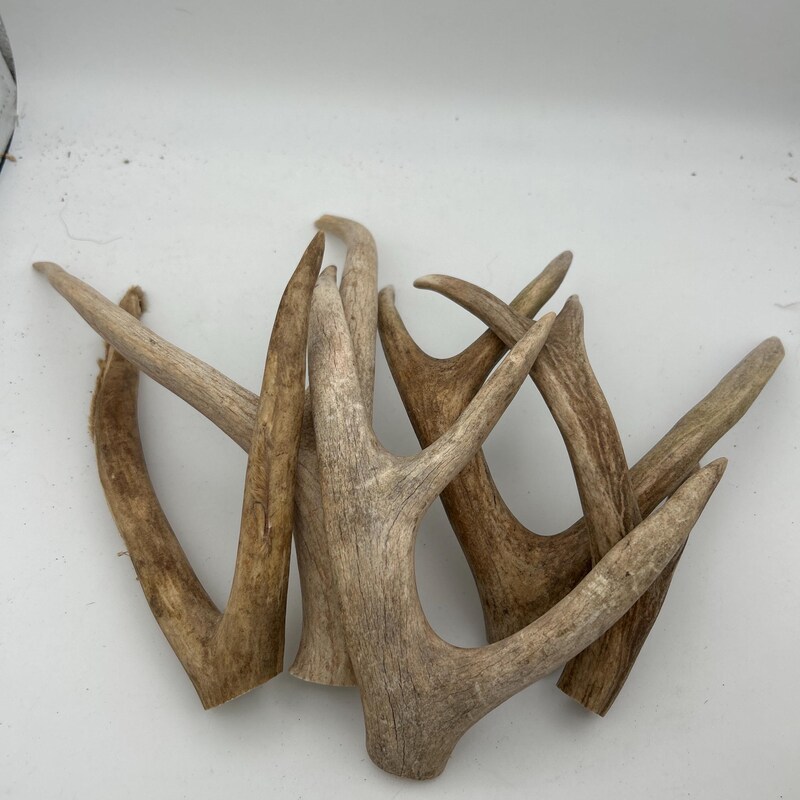 Deer Antler Handle - Etsy