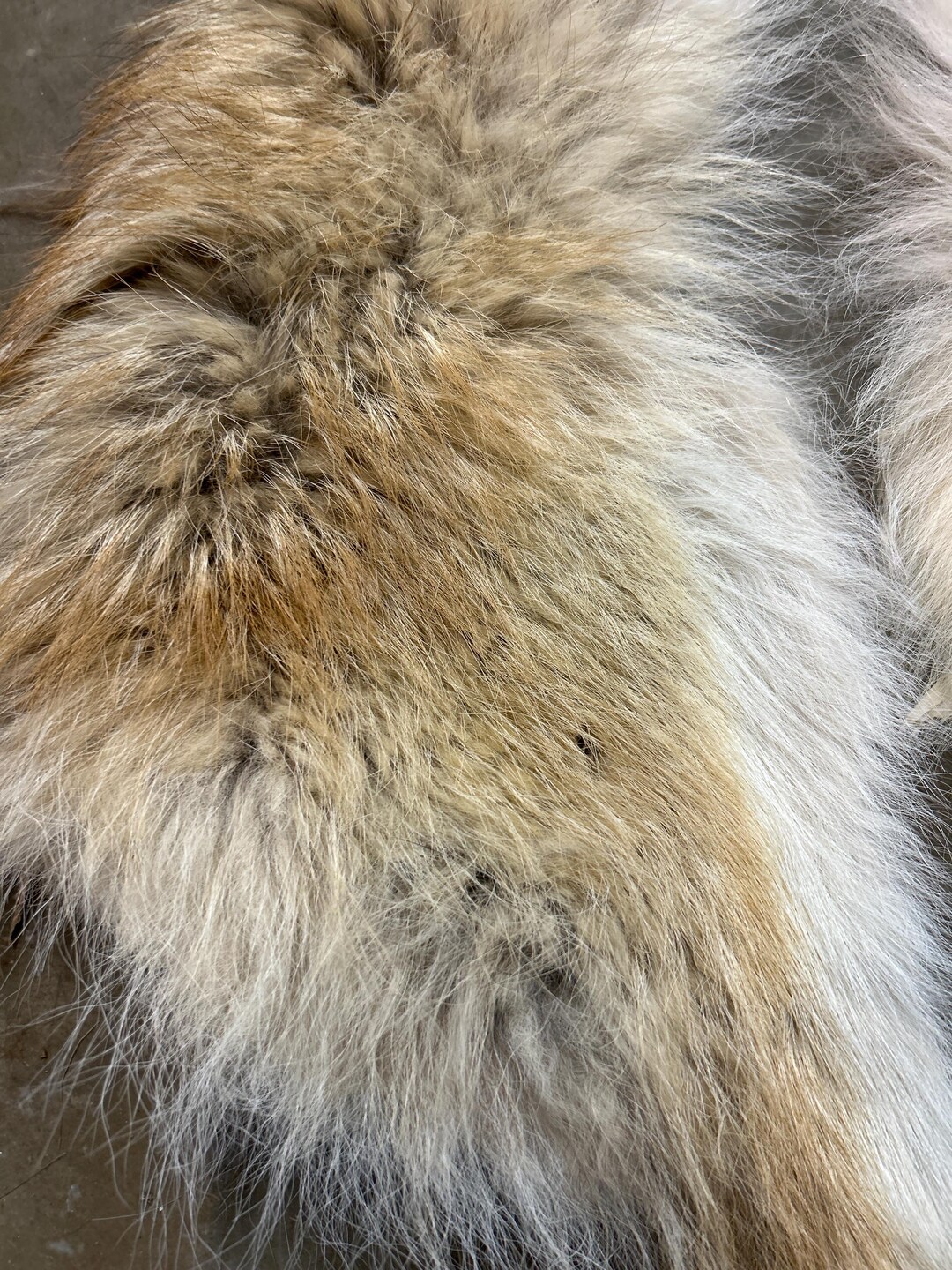 Coyote Craft Fur Pieces 5 Each - Etsy