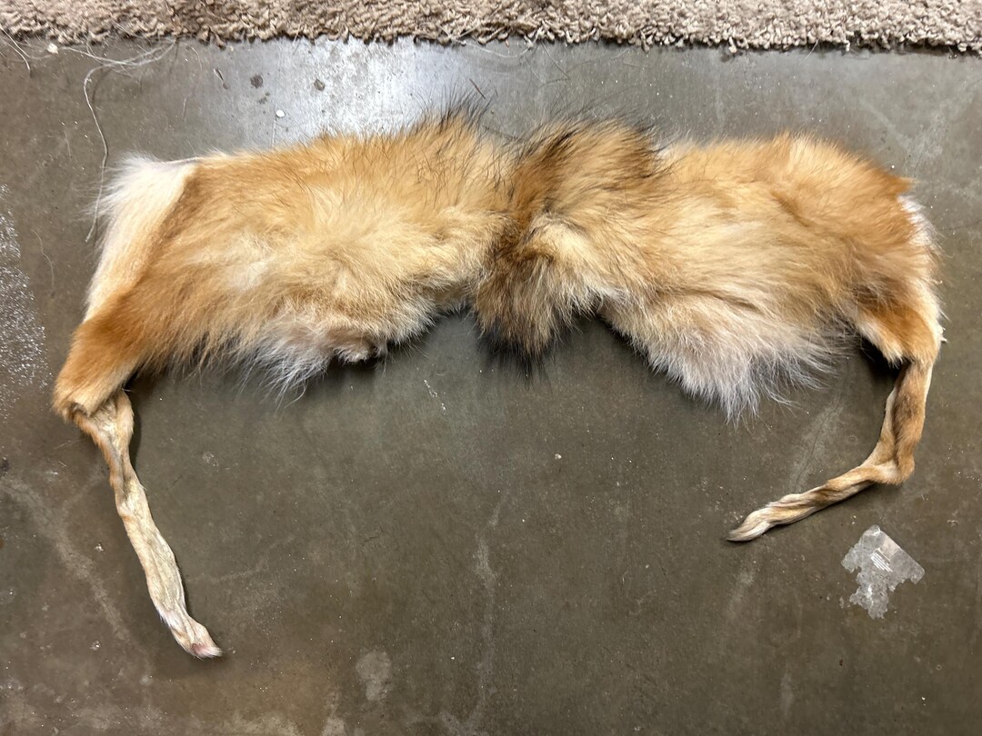 Red Fox Fur Pelt Strip - Etsy