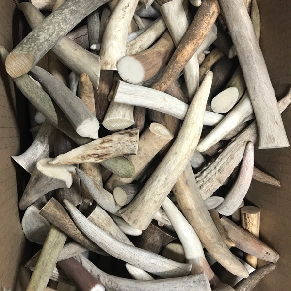 Deer Antler Handle - Etsy