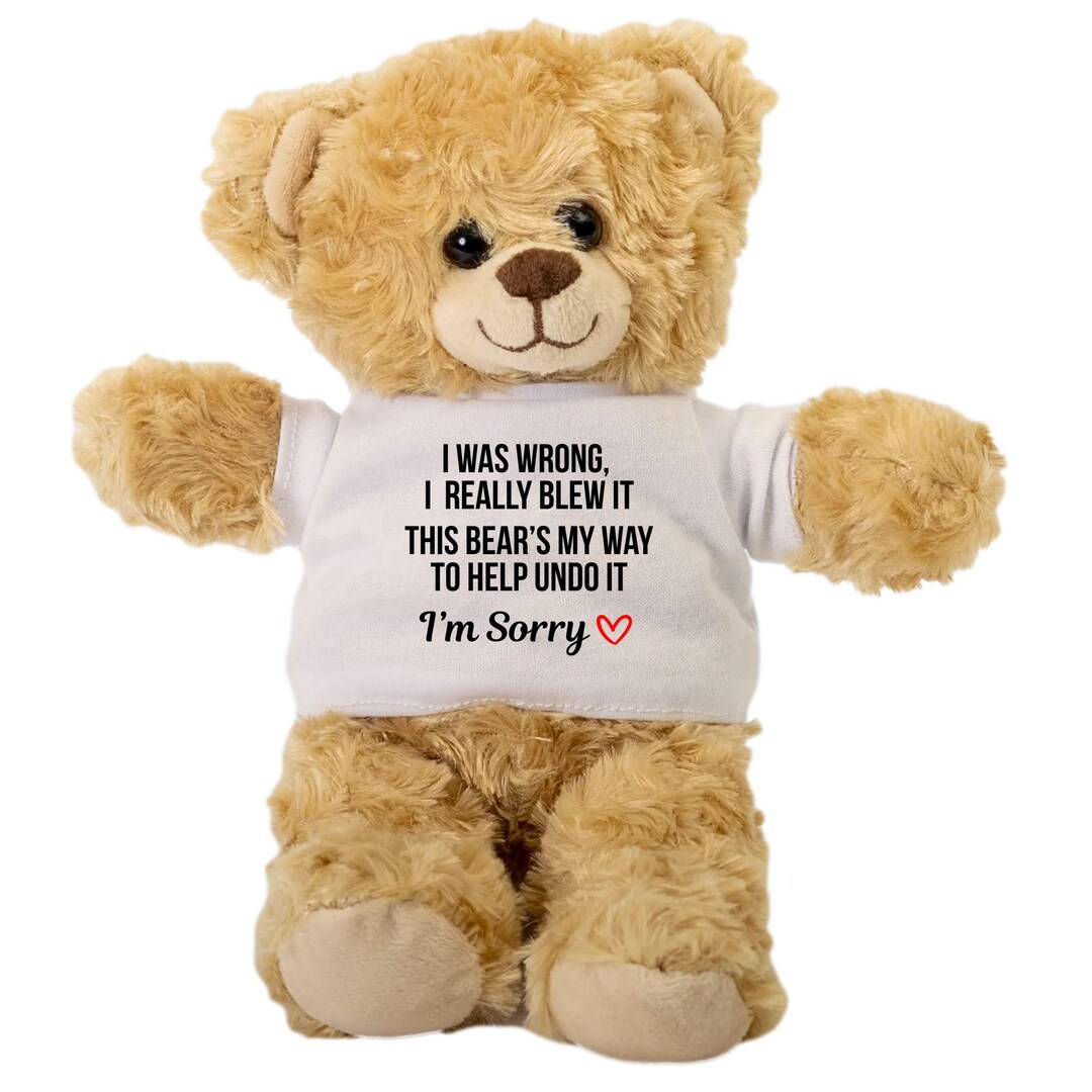 I’m Sorry Teddy Bear | Apology Gift Plush | Cute Sorry Gift for ...