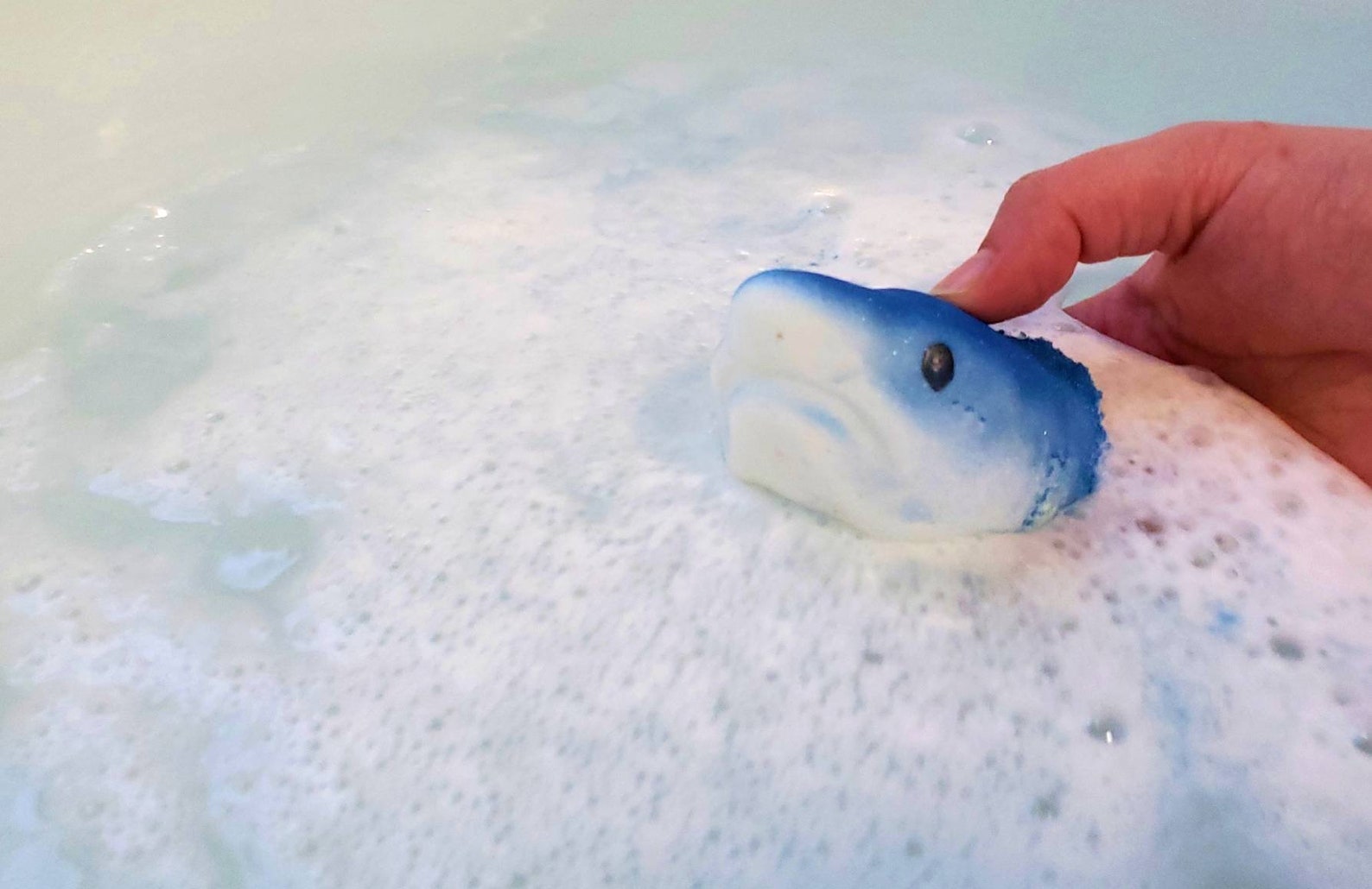 Shark Bath Bomb Summer Bath Bombs Bath Bombs for Kids - Etsy