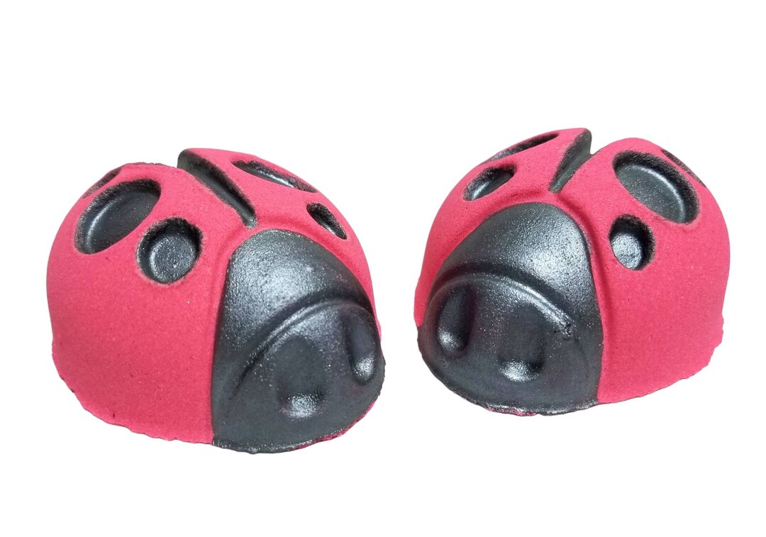 Lady Bug Bath Bomb | Watermelon Bath Bombs | Summer Bath Bombs | Vegan ...