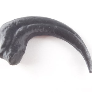 Velociraptor Claw -approx. 10 Cm Arc Length - Etsy