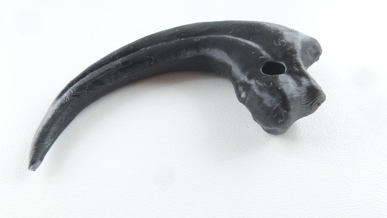 Velociraptor Claw approx. 10 Cm Arc Length - Etsy