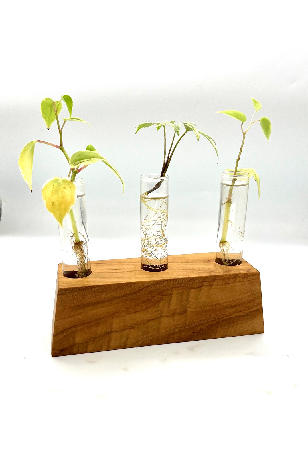 Handmade Wood Vase for Plant Cuttings | Indoor Plant | Wood Vase ...