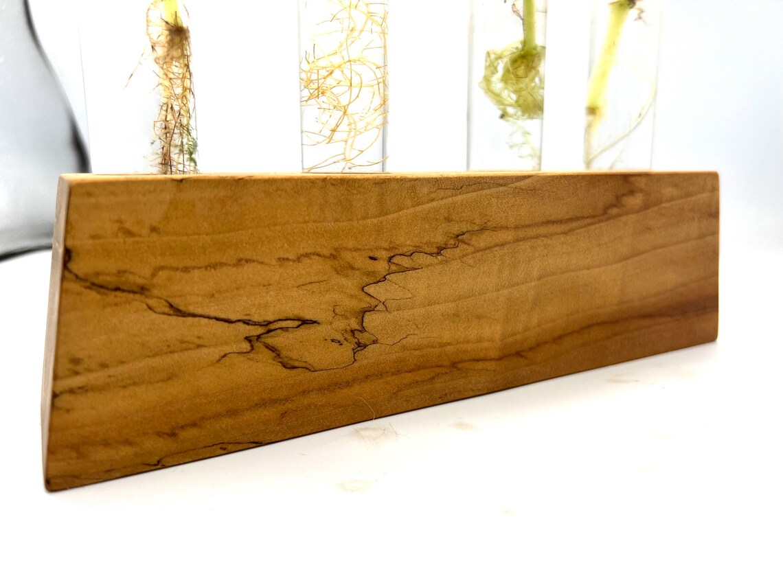 Handmade Reclaimed Wood Propagation Station | Plant Cuttings Vase - Etsy
