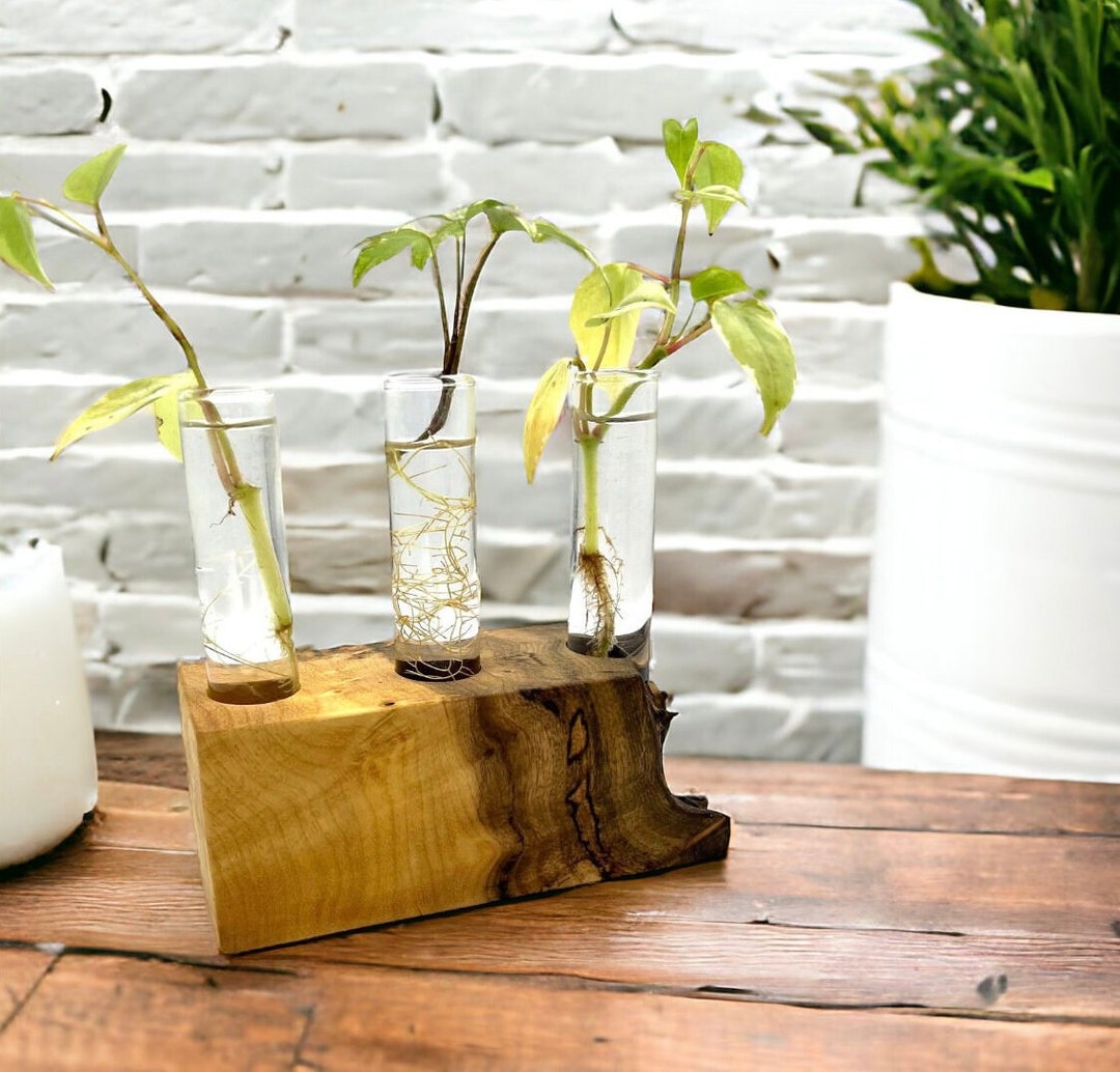 Live Edge Propagation Station Propagation Stand Indoor Plant Live Edge ...