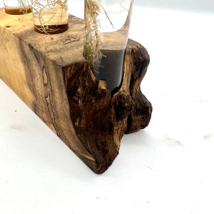 Live Edge Propagation Station Propagation Stand Indoor Plant Live Edge ...