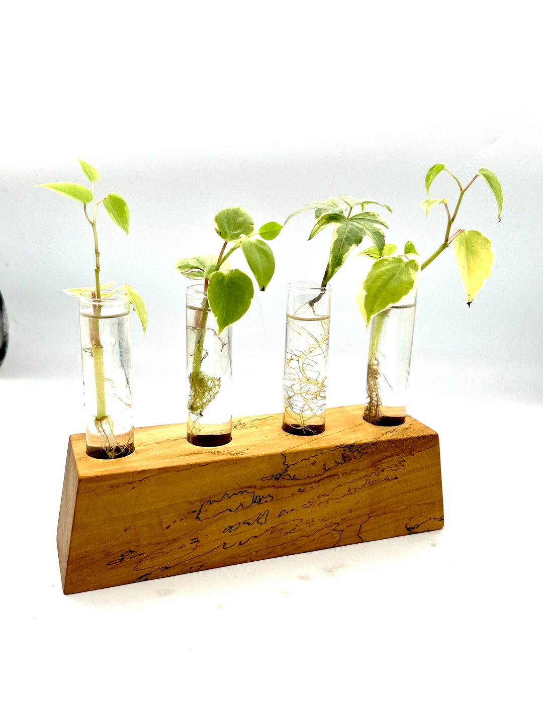 Handmade Wood Vase for Plant Cuttings | Indoor Plant | Wood Vase ...