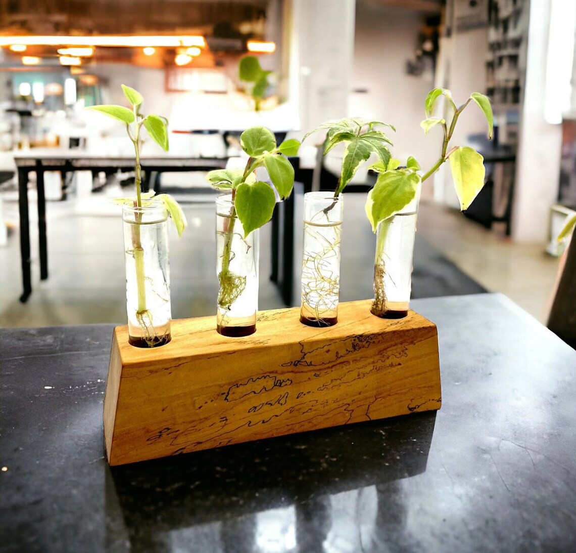 Handmade Reclaimed Wood Propagation Station | Plant Cuttings Vase - Etsy