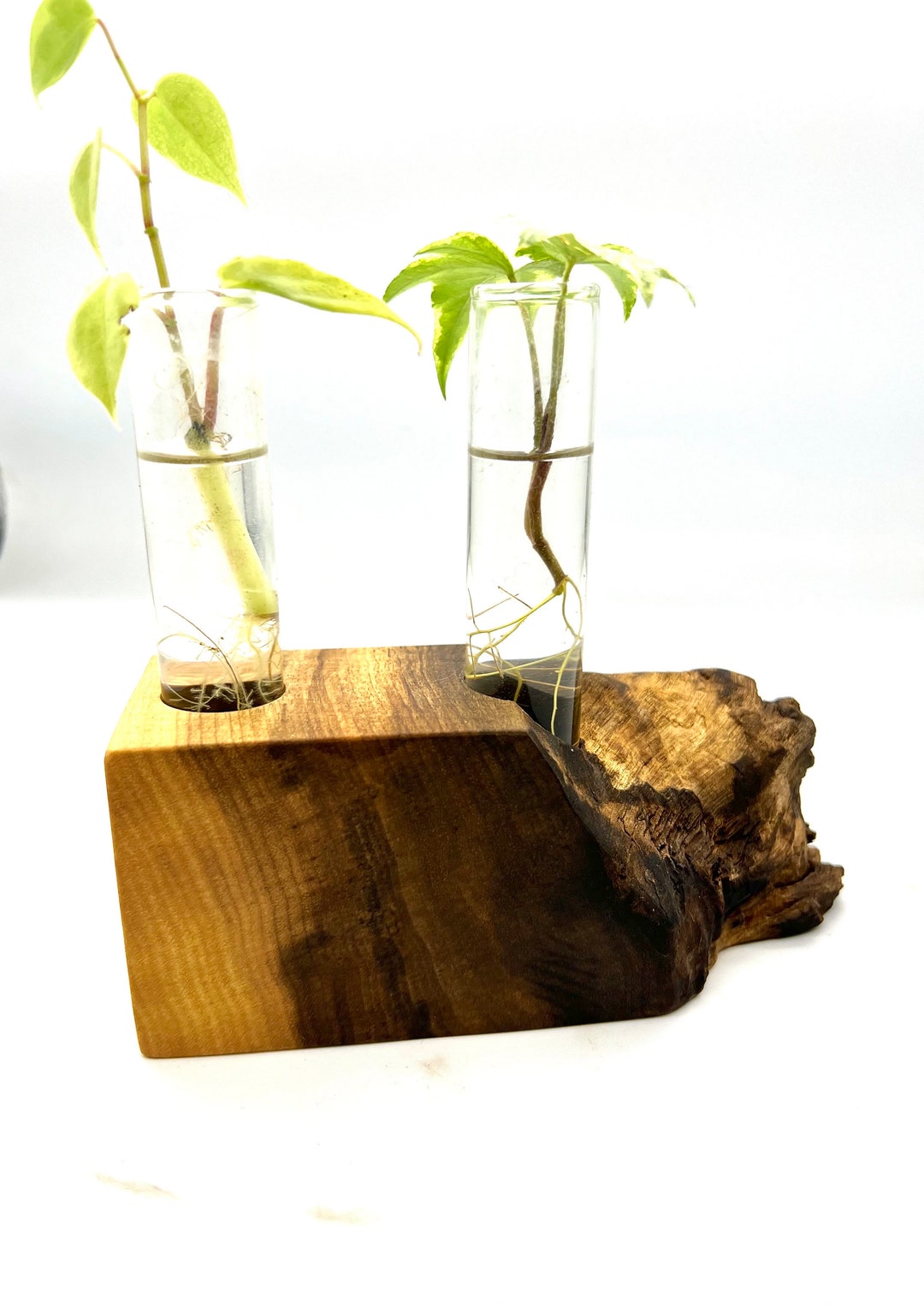 Handmade Wood Vase for Plant Cuttings | Indoor Plant | Wood Vase | Live ...