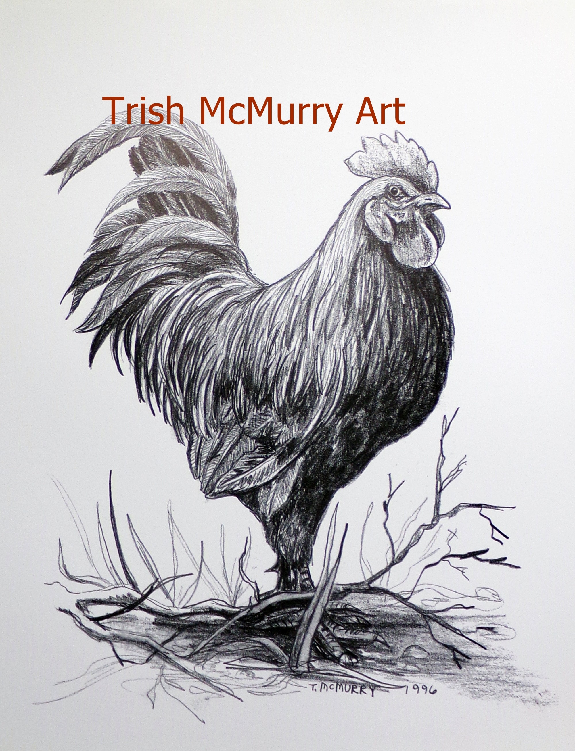 Pencil Drawing Of Roosters And Hens