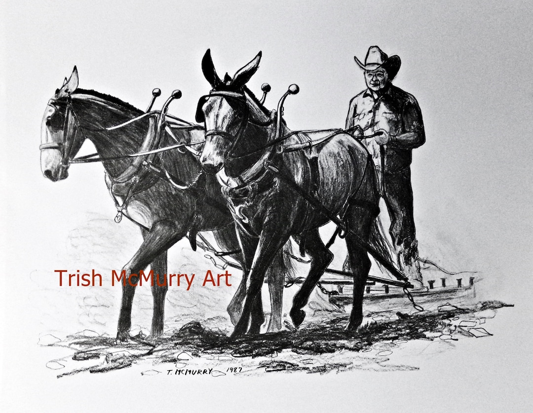Print of VINTAGE 1980s Drawing of Working MULE TEAM With Harrow Cowboy ...