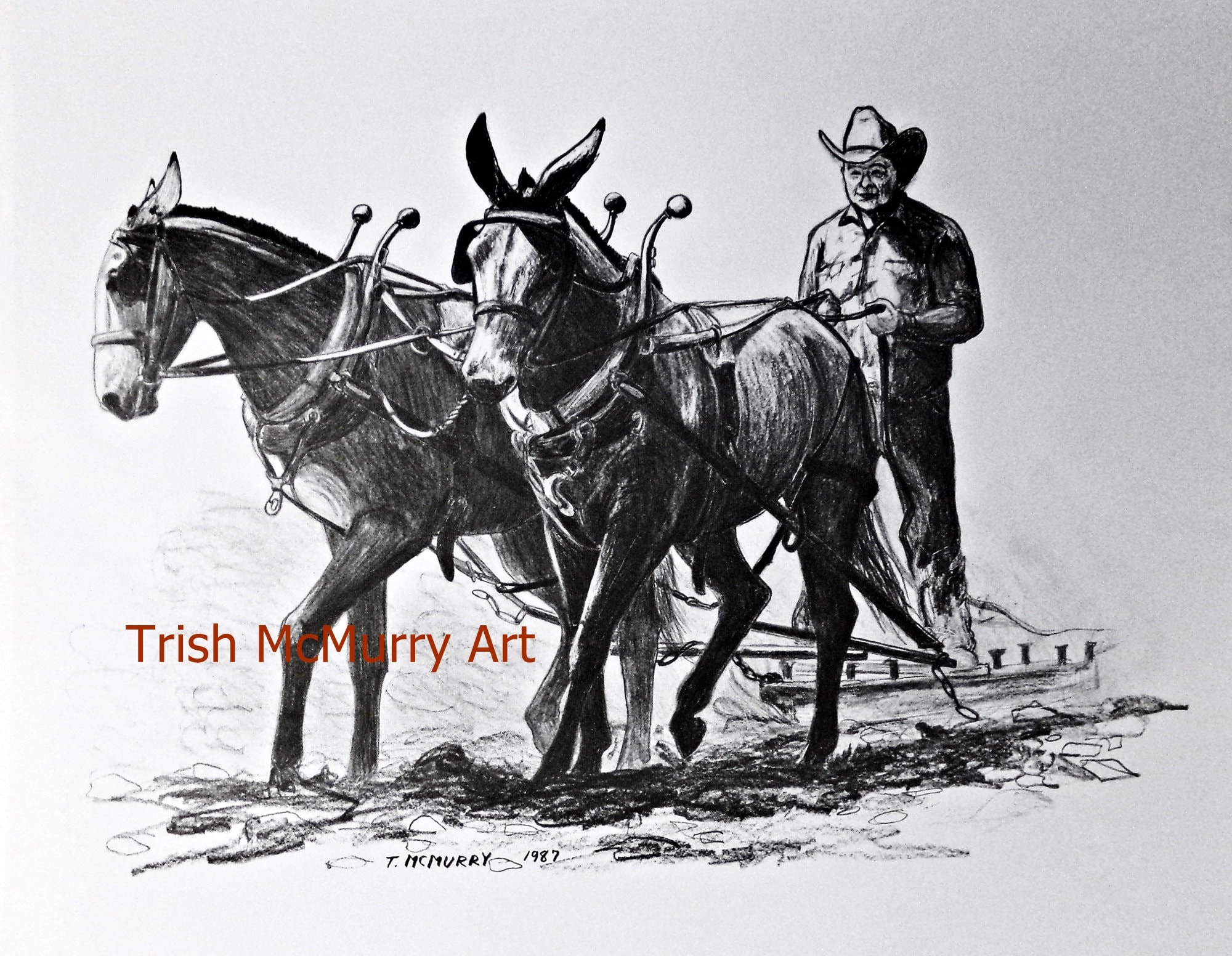 Vintage Mule Team Print: 1980s Pencil Drawing, Farmhouse Art (11x14 ...