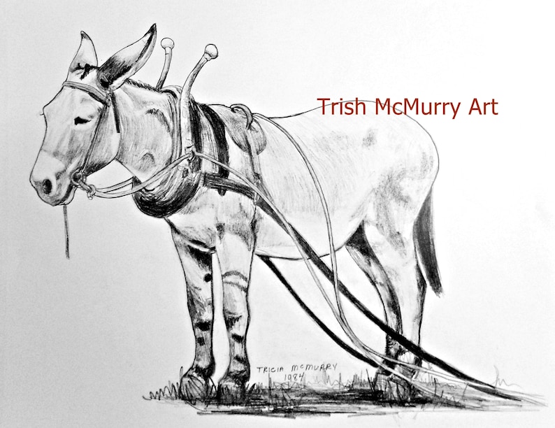 Print of VINTAGE 1980s Drawing of a DONKEY Mule Harness | Etsy